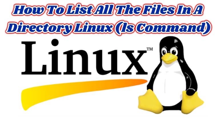 How To List All Files In A Directory Linux Database Tutorials