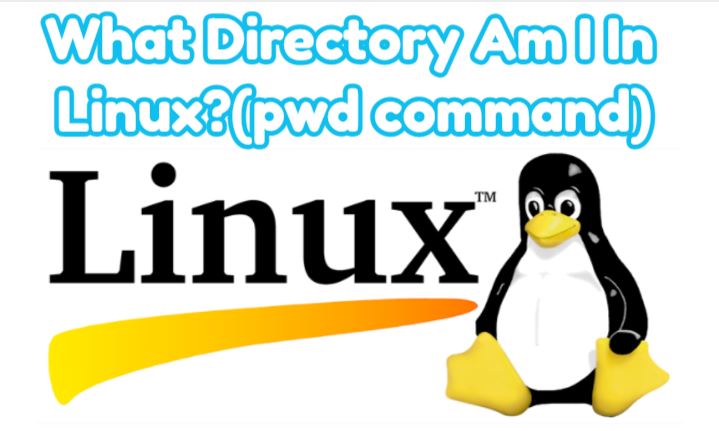 Find The Current Working Directory In Linux Database Tutorials